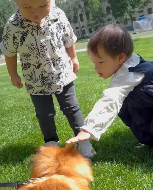 Dù khác nhau về ngoại hình lẫn tính cách nhưng Leon và Lisa lại có điểm ...