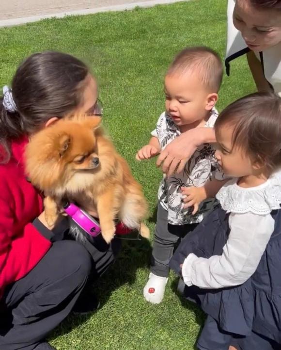 Dù khác nhau về ngoại hình lẫn tính cách nhưng Leon và Lisa lại có điểm ...