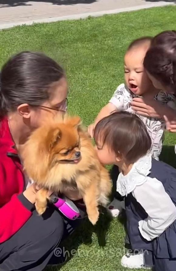 Dù khác nhau về ngoại hình lẫn tính cách nhưng Leon và Lisa lại có điểm ...