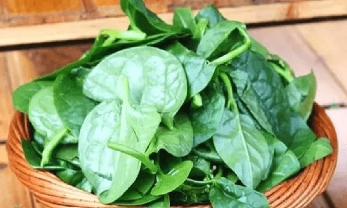 Ăn nhiều 'xanh' mỗi ngày, cơ thể bạn sẽ khỏe mạnh hơn. Gợi ý 3 loại rau ...