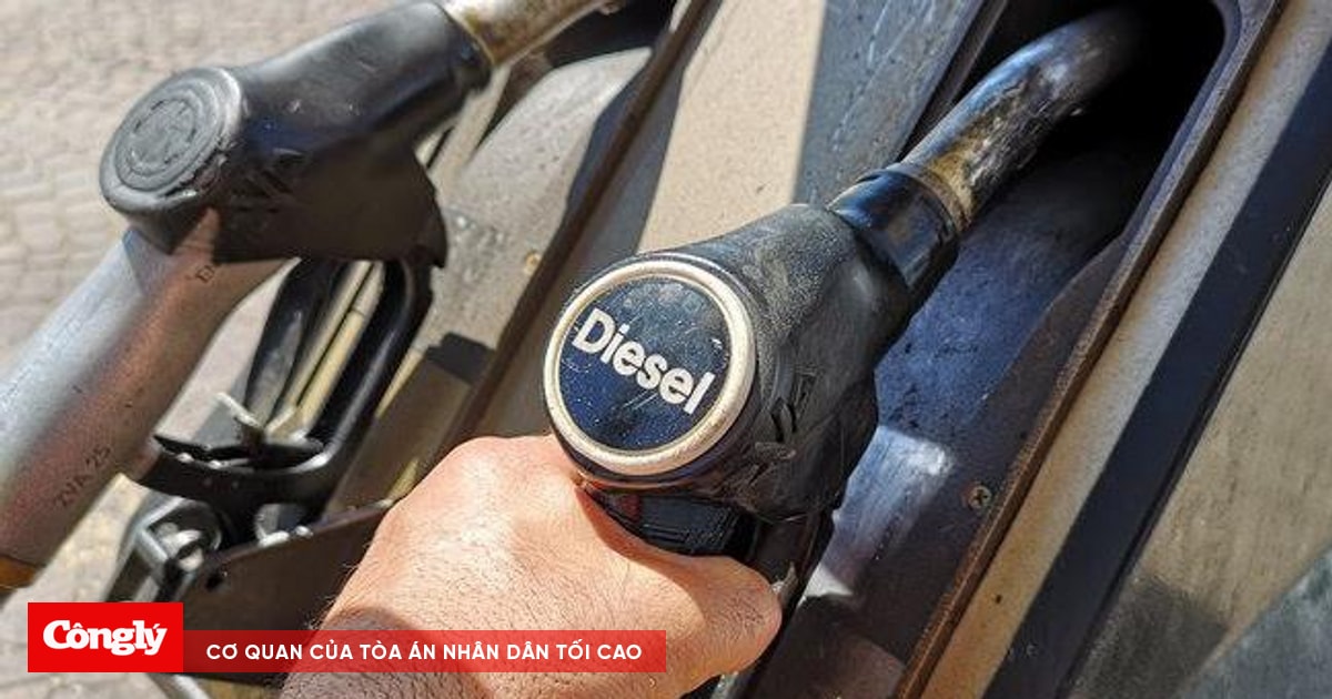Tin vắn thế giới ngày 22/11: EU tích trữ dầu diesel của Nga trước lệnh cấm