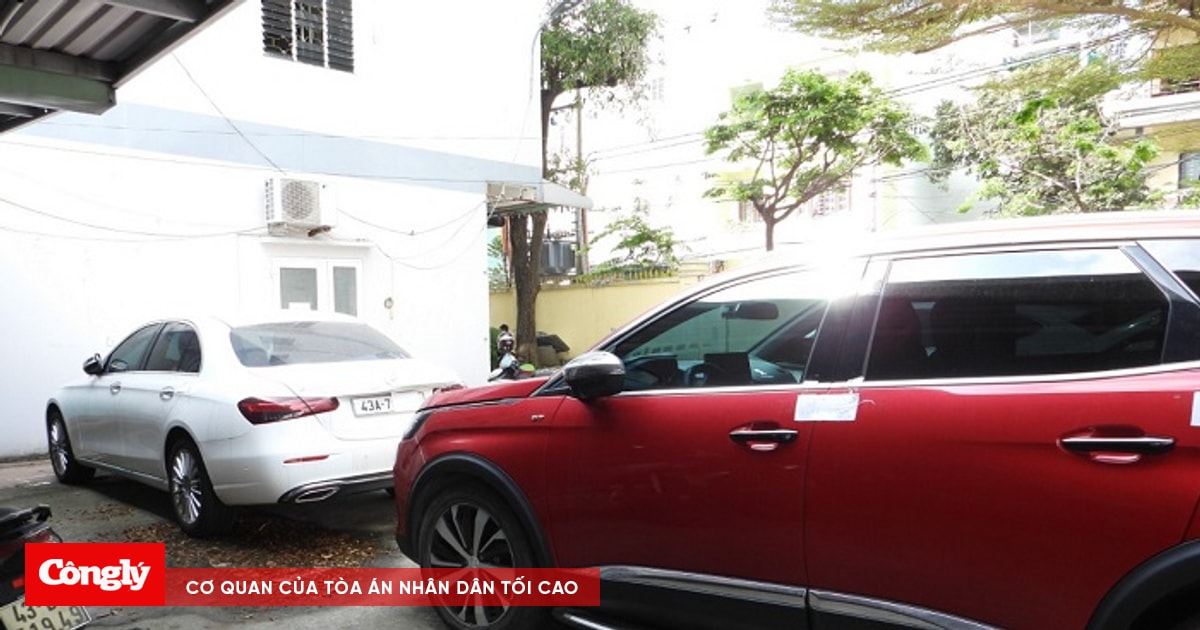 Kê biên, thu hồi tài sản hơn 100 tỷ đồng trong vụ án tại trường ĐH Bách ...