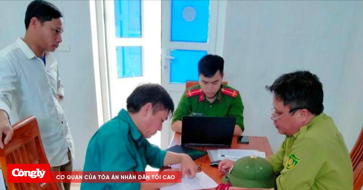 Phạt tiền đối tượng chặt phá rừng trái phép