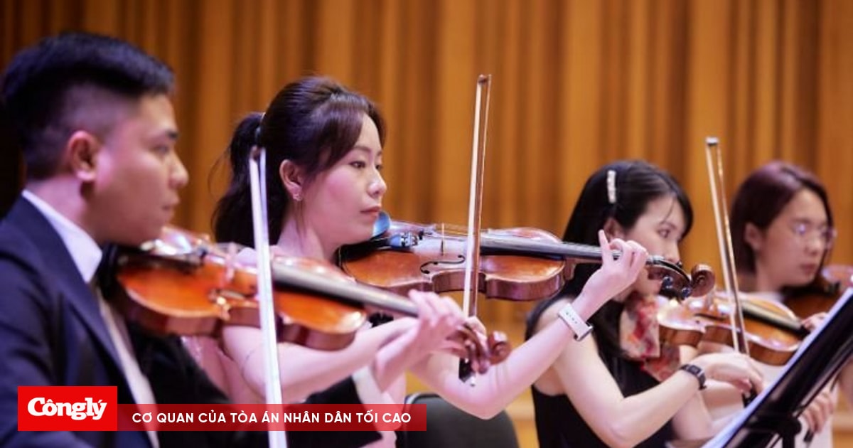 Dàn nhạc SSO kể tâm trạng khi yêu bằng âm nhạc