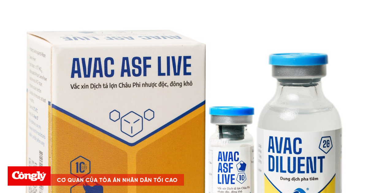 Triển khai sử dụng vắc xin dịch tả lợn châu Phi rộng rãi trên toàn quốc