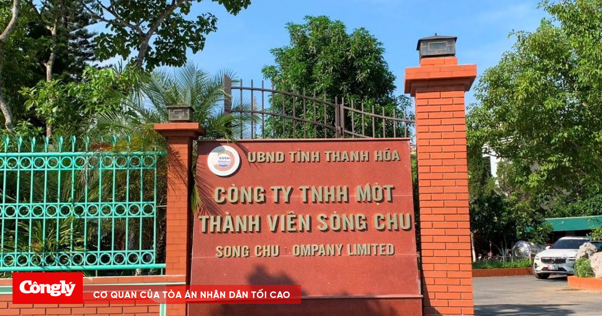 Nhiều cán bộ là người nhà Chủ tịch HĐTV Công ty Sông Chu xin từ chức