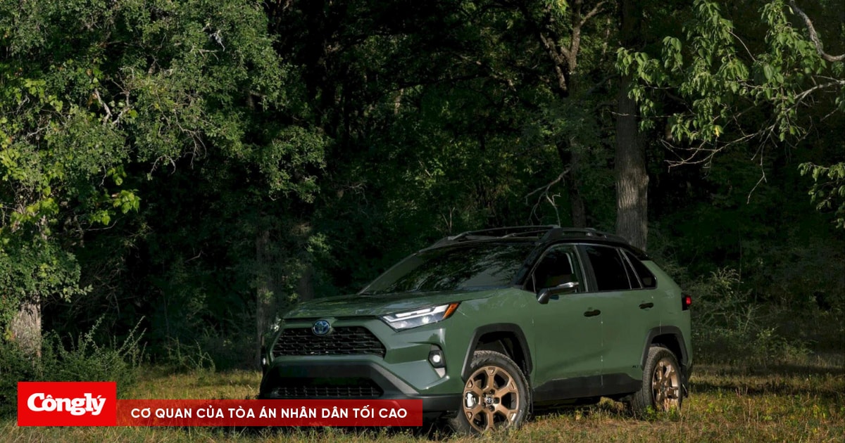 Toyota RAV4 2024 ra mắt phiên bản mới