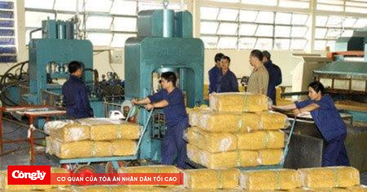 Năm 2023: Xuất khẩu cao su của Việt Nam đạt khoảng 2,14 triệu tấn