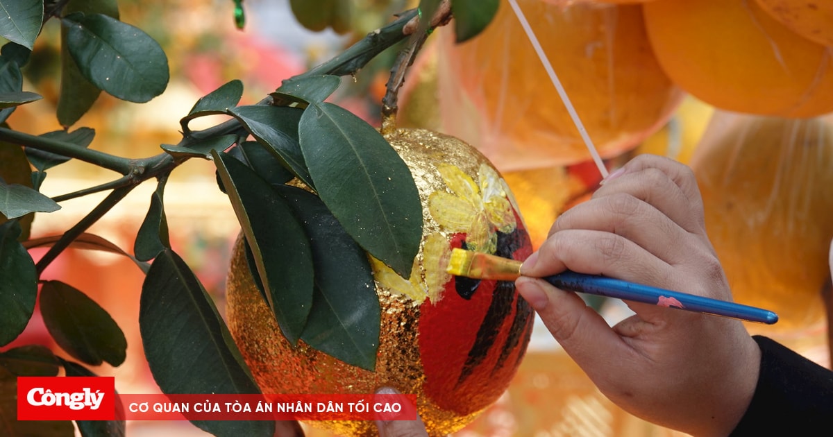 'Dát vàng' cho bưởi