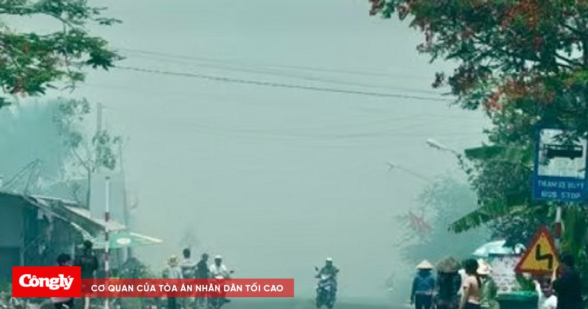 Cháy Vườn quốc gia Tràm Chim: Lực lượng chức năng đang tập trung chữa cháy