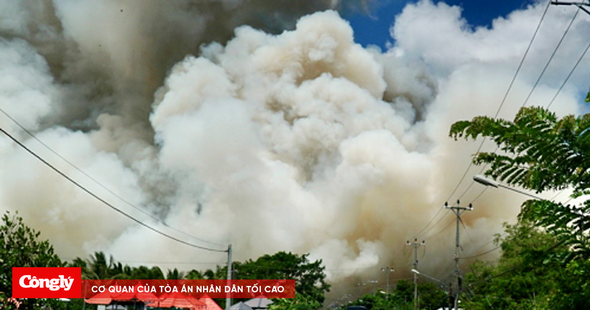 Cháy lớn tại Vườn quốc gia Tràm Chim