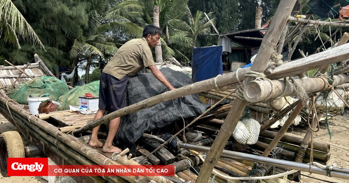 Thanh Hóa cấm biển, cây đổ la liệt sau mưa lớn