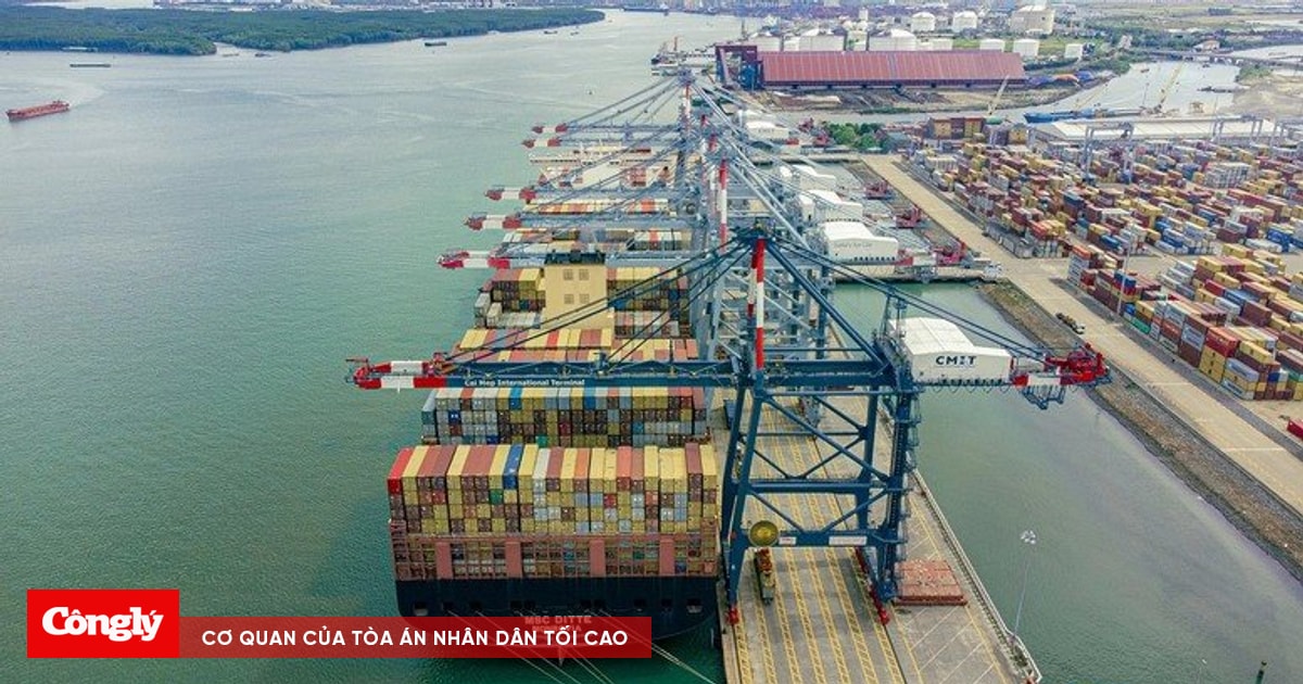 Năm 2024, ngành logistics Việt Nam tăng trưởng mạnh mẽ