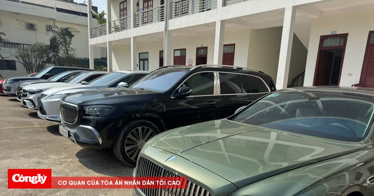 Đánh sập sàn chứng khoán Fnory.com lừa đảo hơn 200 tỷ đồng
