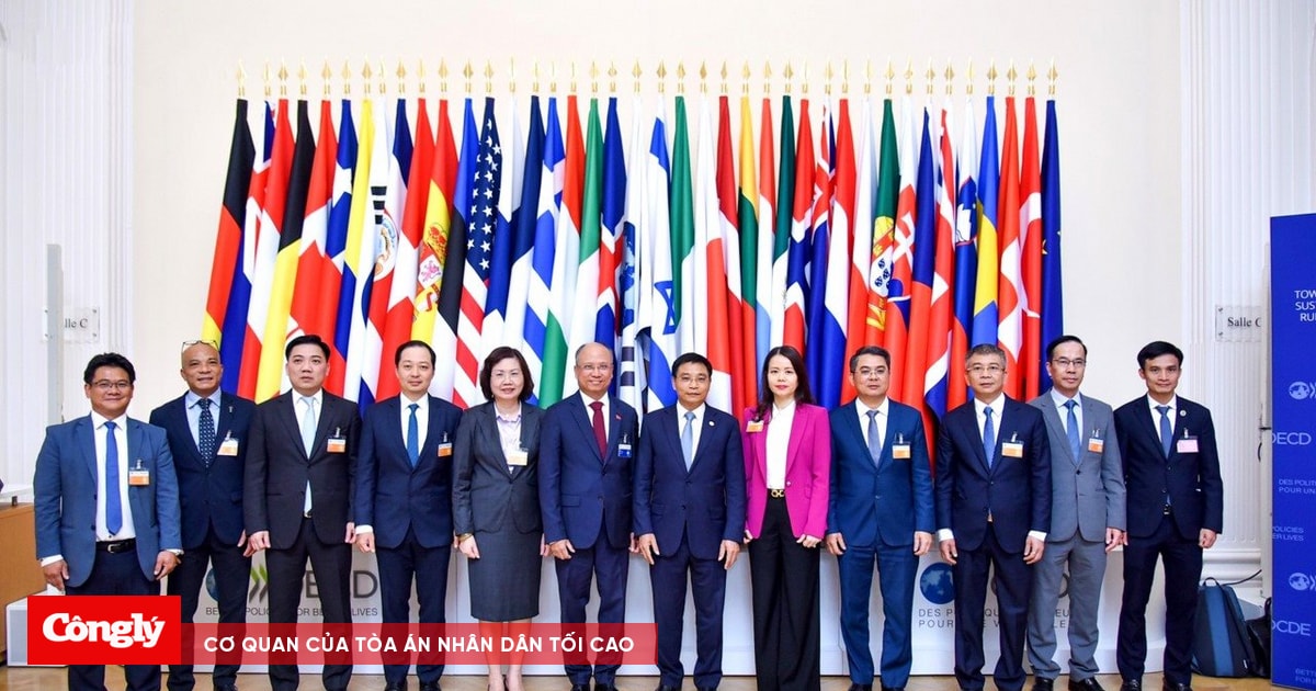 Việt Nam khẳng định vai trò chủ động, trách nhiệm tại Hội nghị OECD 2025