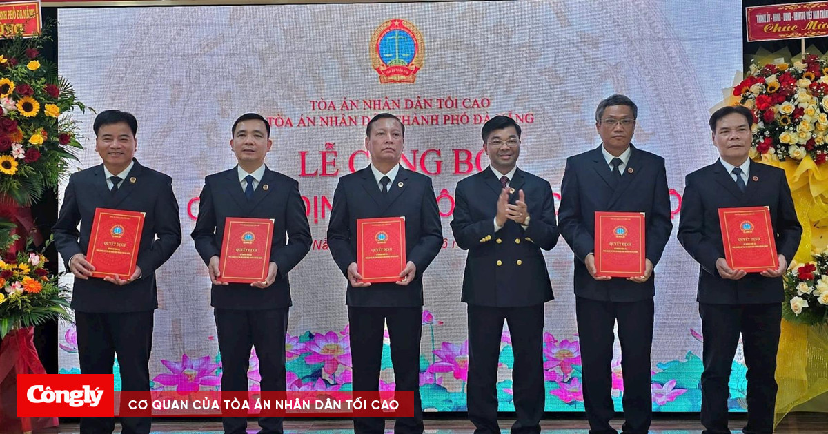 Trao quyết định bổ nhiệm Phó Chánh án TAND Thành phố, Chánh án, Phó ...