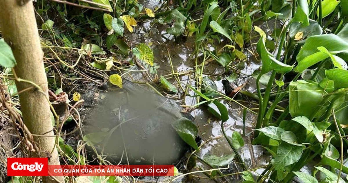 Lời khai của nghi phạm giết người rồi phi tang xác ở Tây Ninh