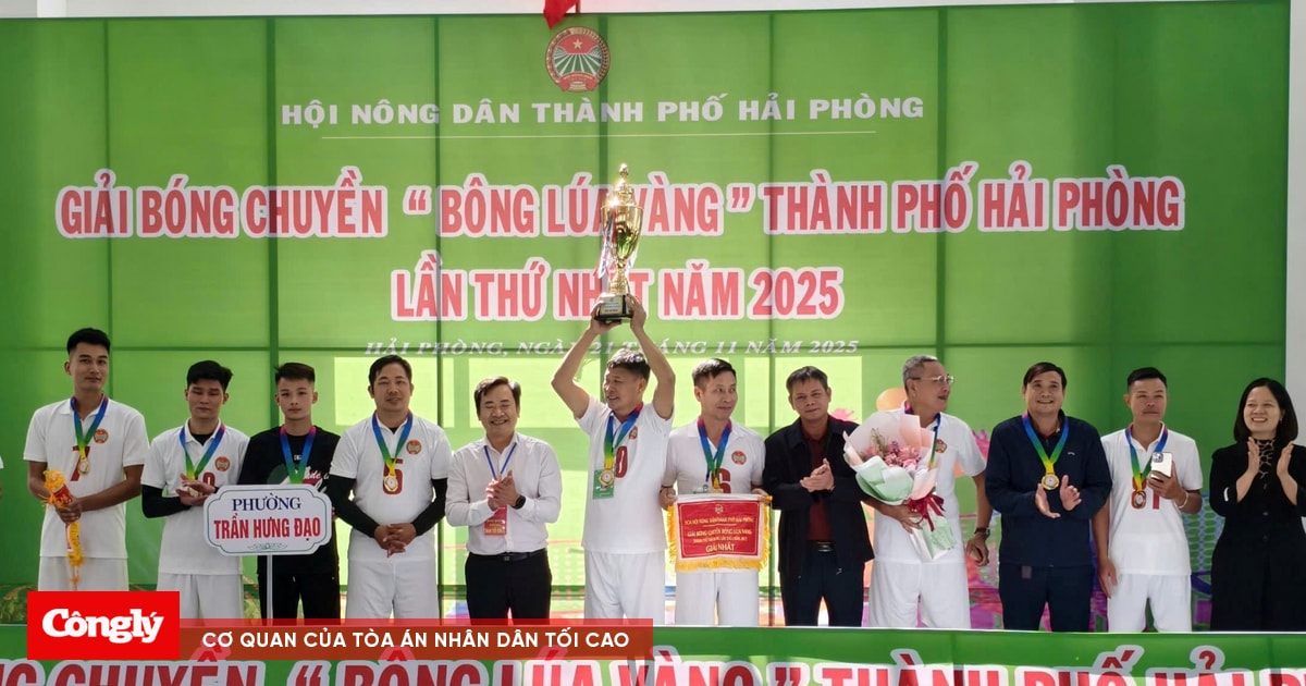 Hải Phòng khai mạc Giải bóng chuyền 'Bông lúa vàng' lần thứ I