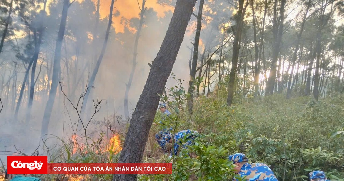 Trạm Ra đa 500 khống chế đám cháy, bảo vệ rừng phòng hộ