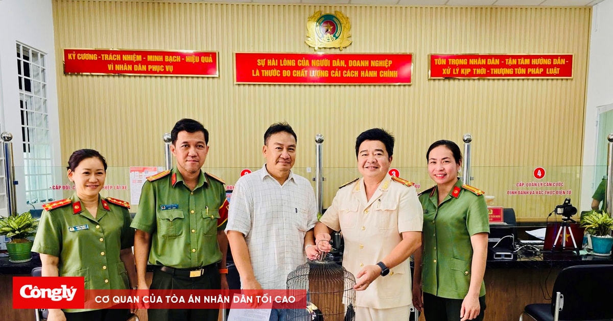 Biểu dương người dân giao nộp cá thể chim quý hiếm bay lạc vào nhà