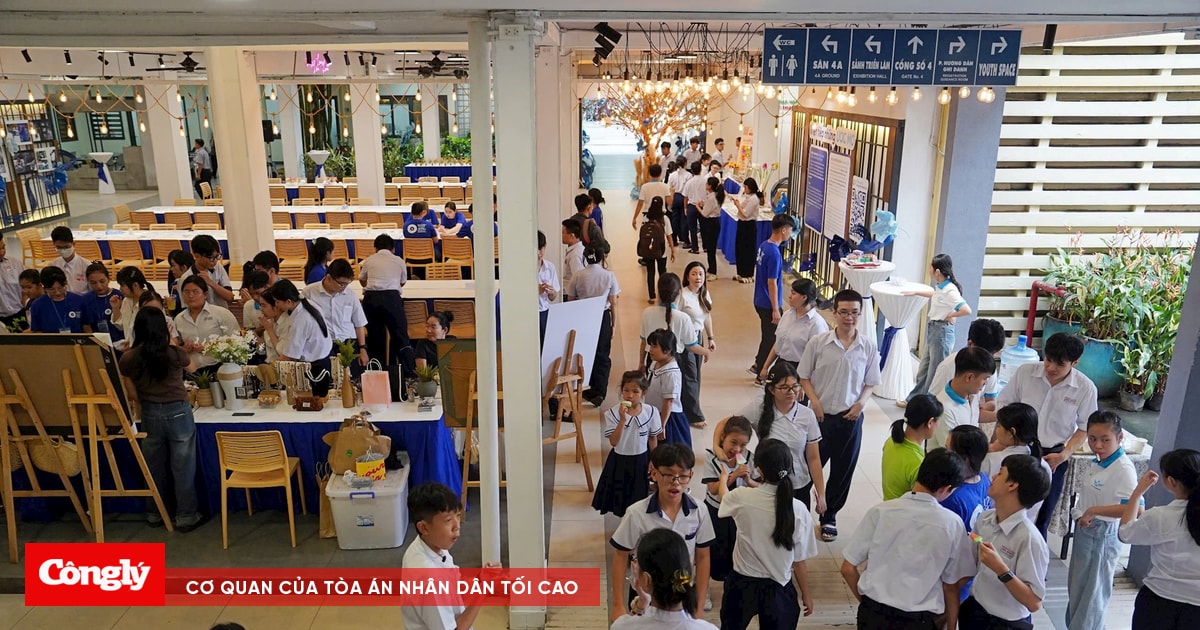 TP.HCM thông tin về tuyển sinh đầu cấp