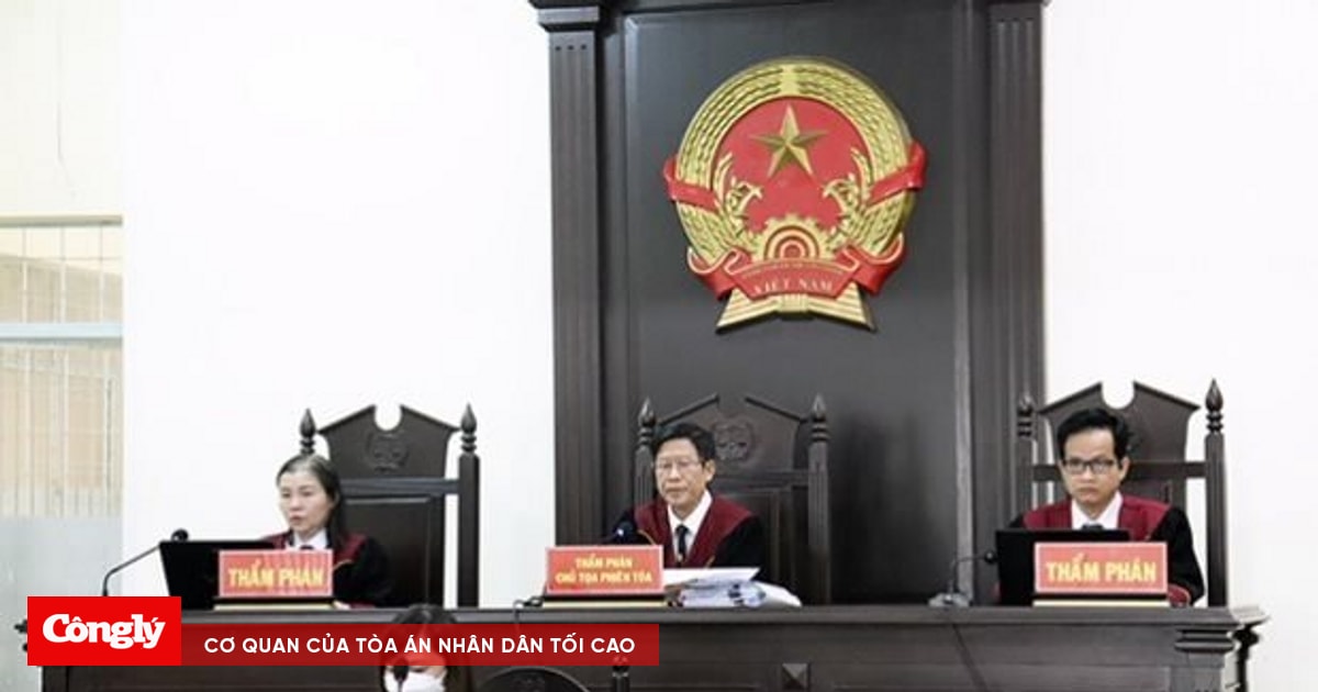 Doanh nghiệp không có người đại diện pháp luật, Tòa án chỉ định ra sao?