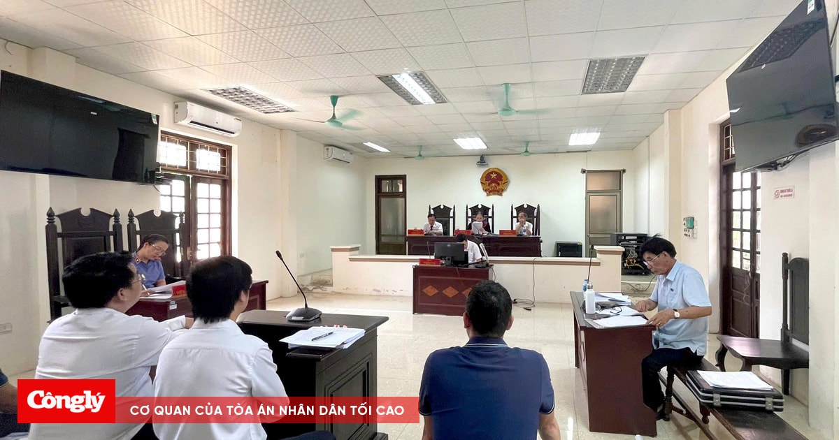 Xét xử vụ anh em ruột tranh chấp hơn 800m2 đất thừa kế