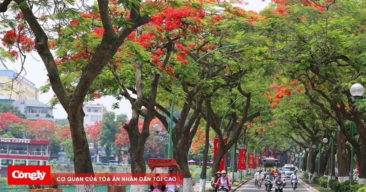 Thời tiết ngày 19/6: Bắc bộ, Trung bộ nắng nóng, Nam bộ mưa dông vào ...
