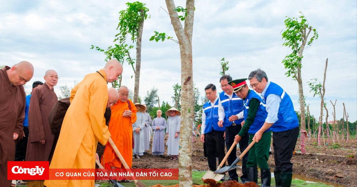 TP.HCM trồng cây hưởng ứng Ngày Môi trường thế giới