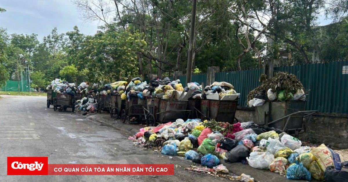 Rác thải bủa vây các phường trung tâm Thanh Hóa